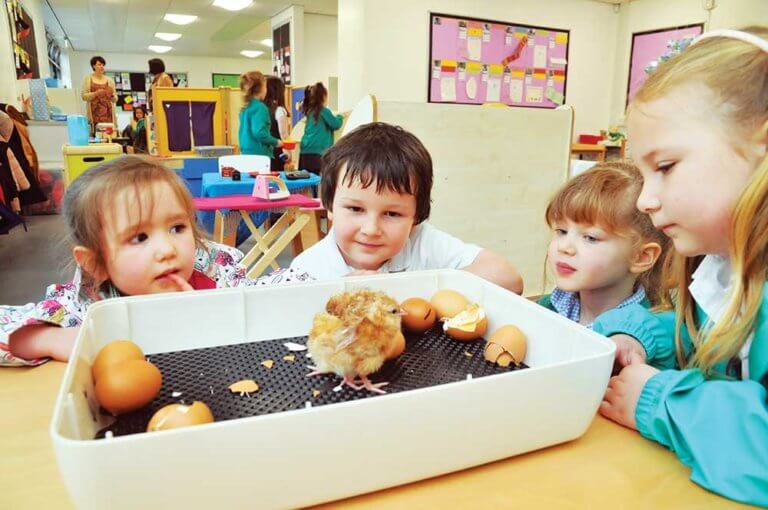 Admissions | Broadheath Primary School