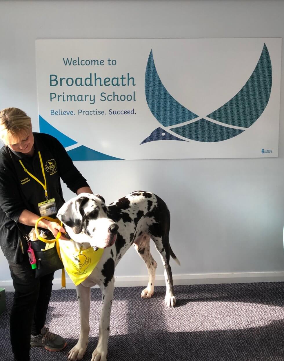 Special visit from Shakespeare | Broadheath Primary School